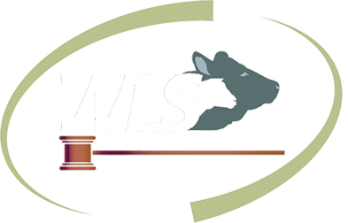 About Welshpool Smithfield